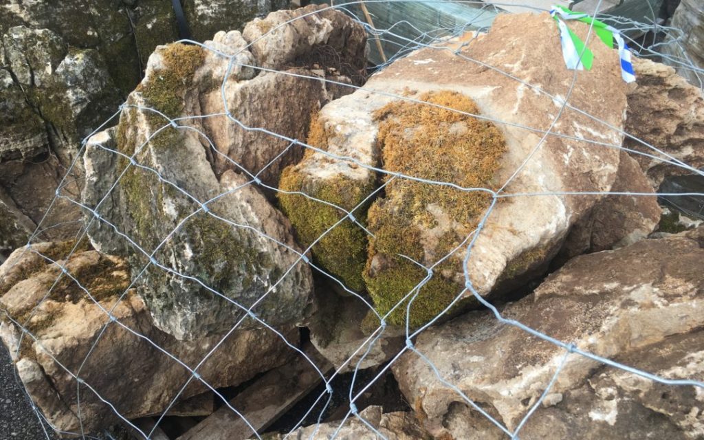 Weathered Limestone Boulders | Platinum Ponds & Landscaping