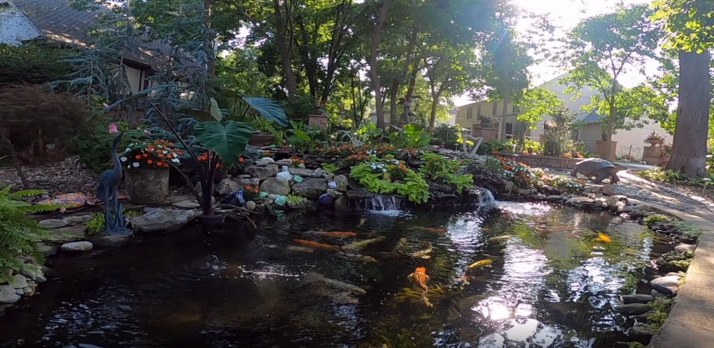 Help Your Pond Beat The Summer Heat | Platinum Ponds & Landscaping